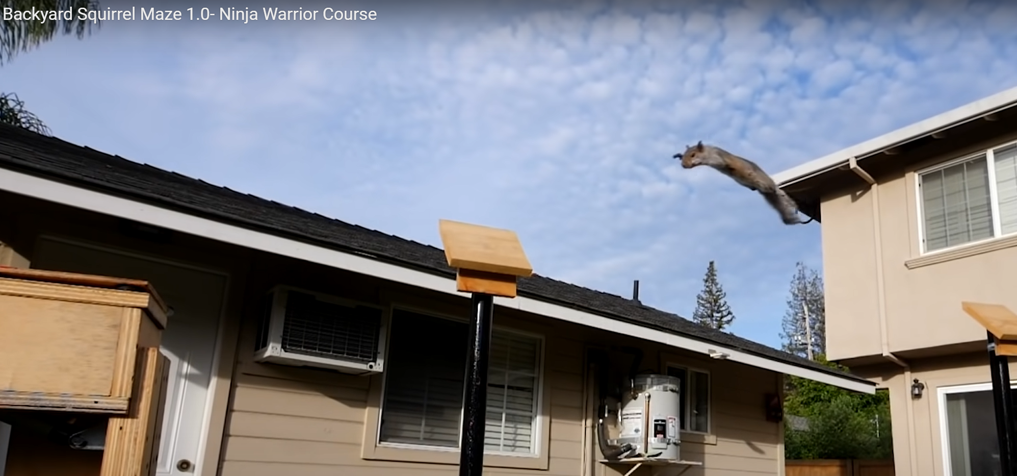 Are Squirrels Driving You Nuts? - Wildtones