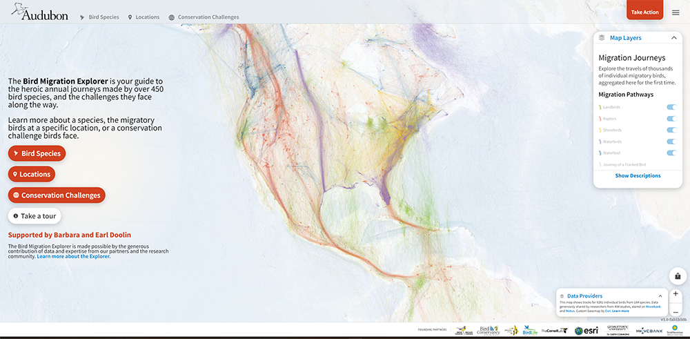 Migration Made Visible - Wildtones